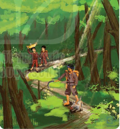 Soạn văn 7 sách Kết nối tri thức, bài 1: Đi lấy mật - Sách Giải